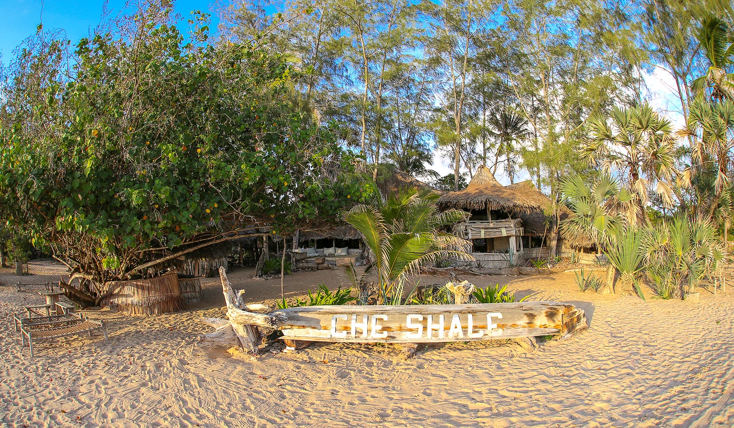 Safari To Che Shale With Africa Travel Resource